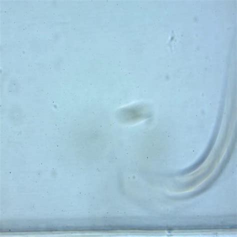 Mohammad Kashif Mohammad Kashif Xzv0d Roboflow Universe