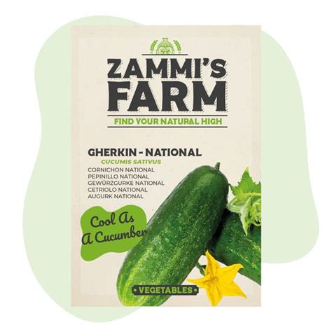 Einlegegurke Cucumis Sativus National Samen Zamnesia