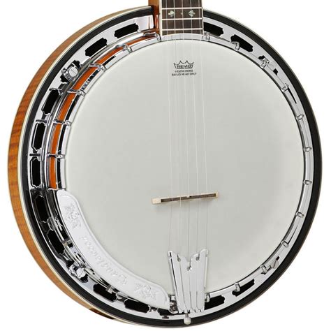 Tanglewood Twb Usa5 5 String Tenor Banjo It Music