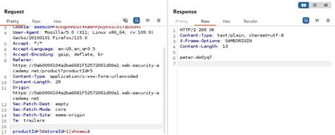 elisa nsab on linkedin just did a command injection on a server we