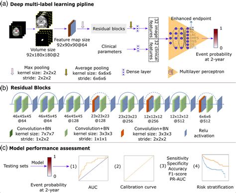Ct‐based Deep Multi‐label Learning Prediction Model For Outcome In
