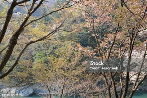 교토에서 아라시 야 마 산 앞 가쓰라 강 0명에 대한 스톡 사진 및 기타 이미지 0명 강 관광 Istock