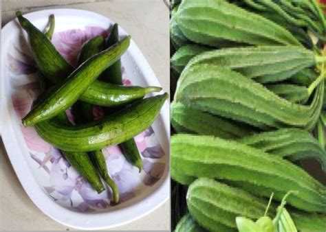 Benefits Of Turai In Hindi तोरई क्यों है गुणकारी जानिये