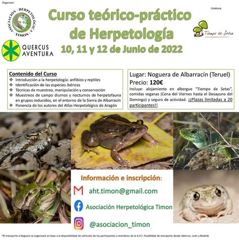Curso de Herpetología en la Sierra de Albarracín Eventos en la Sierra
