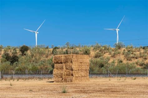 Painel De Energia Solar Célula Fotovoltaica E Gerador De Energia Para