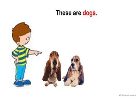 Demonstrative Pronouns General Gramm… Deutsch Daf Powerpoints