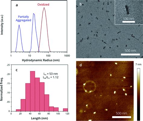 Structure Of Oxidized Micelle Seeds A Dls Demonstrates Oxidized Download Scientific Diagram