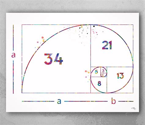 Fibonacci Spiral Watercolor Print Fibonacci Sequence Numbers Etsy