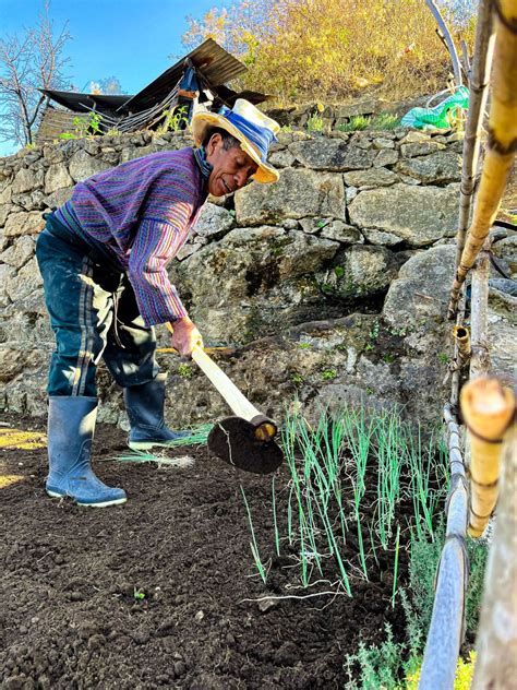 Anoop M Maddasseri On Linkedin “a Healthy Man Wants A Thousand Things