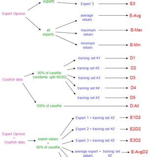 Logic Tree Showing The Different Data Sources For Populating The Final Download Scientific