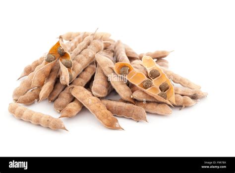 Lupin Seed Lupinus Cut Out Stock Images And Pictures Alamy