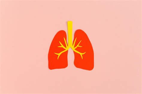Bioexcel Llc On Linkedin Roivant Spinout Ends Development Of Lung