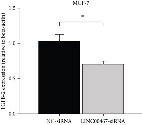 Biological Processes Signaling Pathways And Cerna Regulatory Network