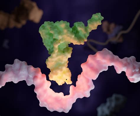 Fda Fast Tracks Jandjs Posdinemab For Alzheimers Disease