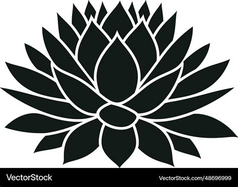 Agave Royalty Free Vector Image Vectorstock