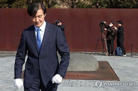 노무현 묘역 참배 조국 검찰 독재 종식 불쏘시개 되겠다 나무뉴스