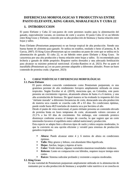 Bruno Pucce Pdf Pasto Tallo De La Planta