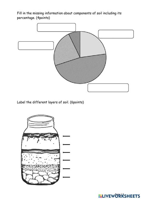 Grade 2 Soil Sheet 3 Online Exercise For Live Worksheets