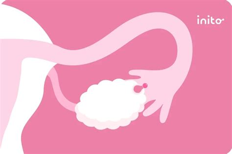When You Feel Ovulation Pain Is It Too Late