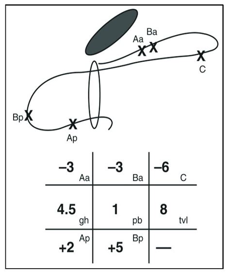 An Example Of Measurements Using The Pop Q System Download Scientific Diagram