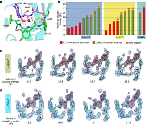 Role Of The Rnaprotein Interface In Substrate Specificity A An Download Scientific Diagram Role Of The Rnaprotein Interface In Substrate Specificity A An Download Scientific Diagram