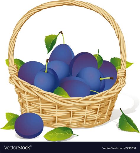 Plum Basket Vector Illustration