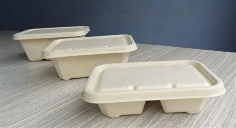 750ml Sugarcane Bagasse Biodegradable Food Containers With Lid At Rs 12