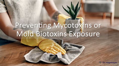 Mold Allergy Vs Mycotoxin Toxicity Is There A Difference Dr Hagmeyer