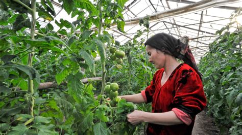 ADB 154 Million Loan To Boost Horticulture Sector In Uzbekistan