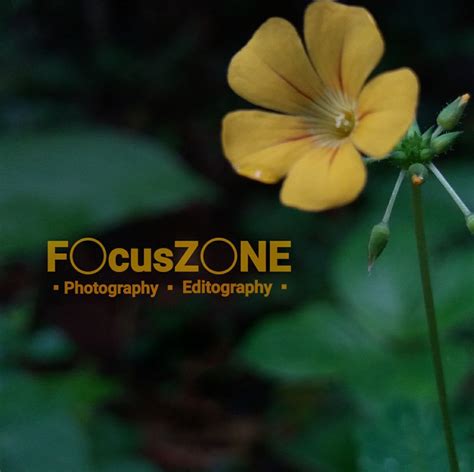 focuszone