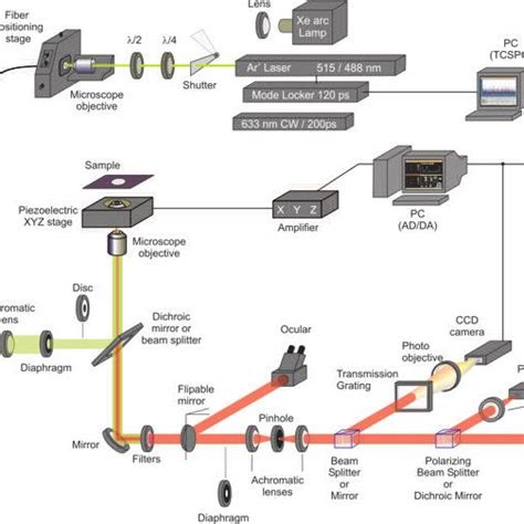 3 Schematic Of The Home Built Confocal Microscope Download