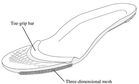 The Insole Design The Insoles Used In This Study Consisted Of A Download Scientific Diagram