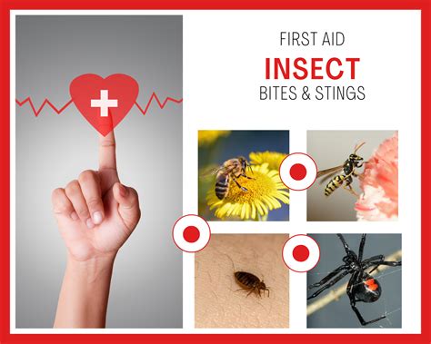 First Aid For Bug Bites Finever 2pk Mosquito Bee Sting Bug