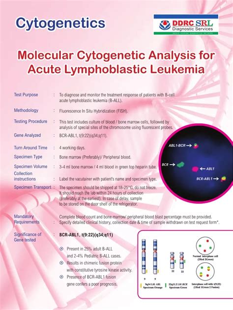 Ppt Acute Lymphoblastic Leukemia Powerpoint Presentation Free
