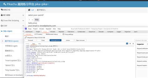 Pikachu漏洞练习平台【sql Inject数字型注入】皮卡丘漏洞平台 Csdn博客