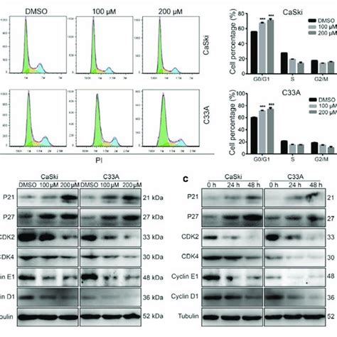 Polydatin Inhibited Cervical Cancer Cell Migration And Invasion A