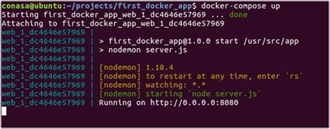 Entorno De Desarrollo Con Docker