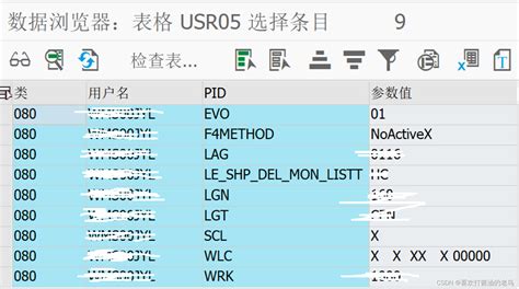 Sap Abap获取sap账号user Profile里的参数值abap系统参数获取 Csdn博客