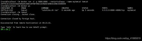 Docker设置系统开机自动启动，docker容器随着docker服务启动自动运行docker服务启动时容器也启动 Csdn博客