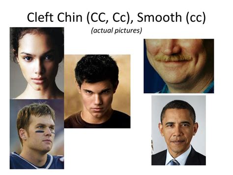 Is A Cleft Chin Dominant