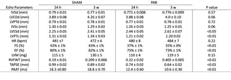 Pab CL Laboratory LLC