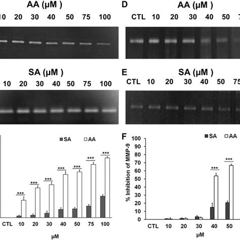 Regulation Of Mmp 2 Activity By Components Of Cnse A Zymogram Showing