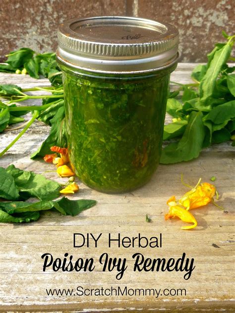 An Herbal Diy Poison Ivy Remedy Pronounce Scratch Mommy
