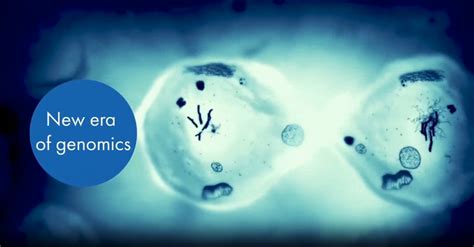 生物信息学解决方案，全方位支撑生命科学研究 知乎