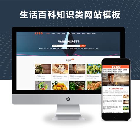 M026个人新闻资讯博客文章类迅睿CMS网站模板源码PC WAP 模板巴巴