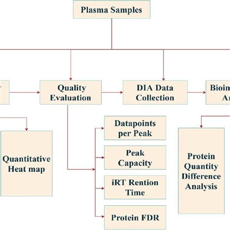 Schematic Workflow Of The Study Download Scientific Diagram