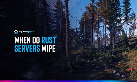 How To Use Metal Detector Rust