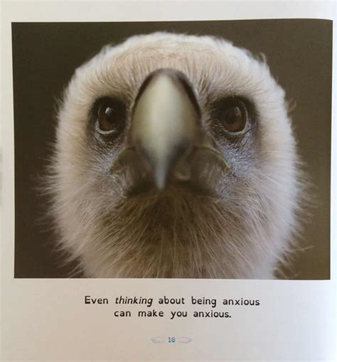 All Birds Have Anxiety Sue Larkey
