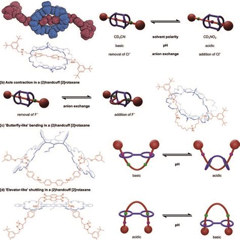 Controllable Motion In 2handcuff 2 Rotaxanes A Shuttling Motion Download Scientific