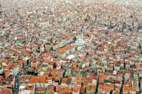 6 Possible Overpopulation Solutions A Deep Dive — Sustainable Review